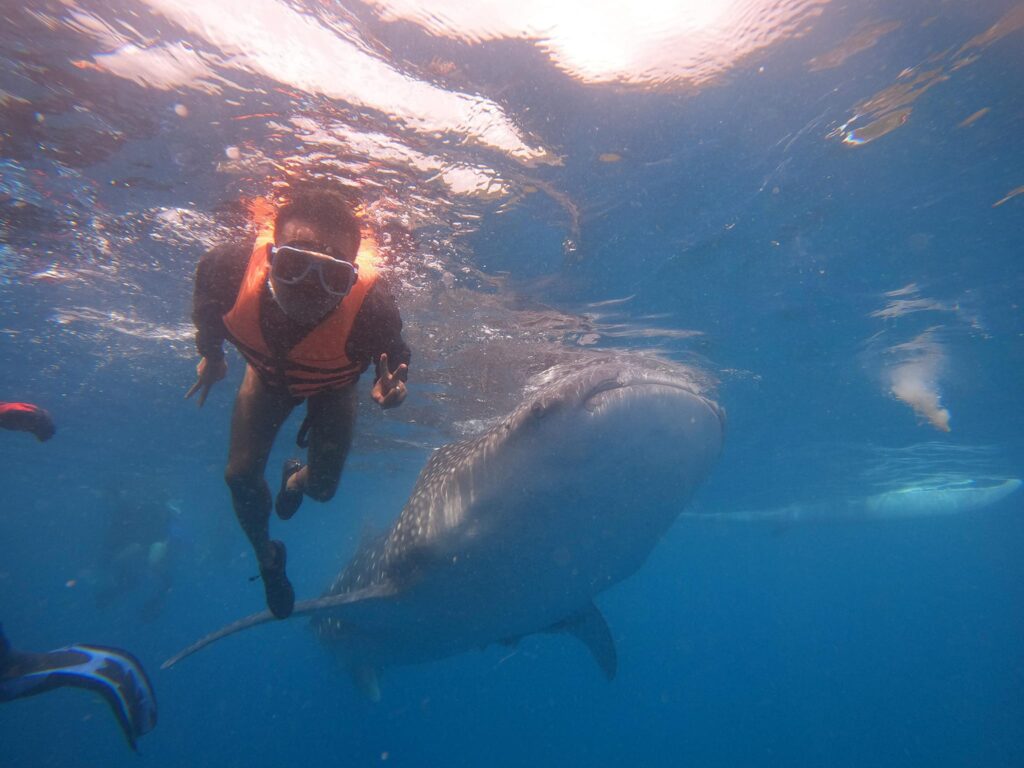 1 Day Oslob + Kawasan Falls - Dericks Travel and Tours